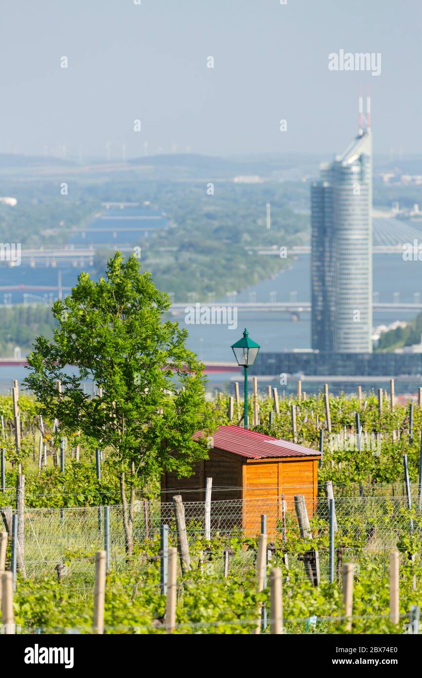 Vineyard with tower hi-res stock photography and images - Alamy