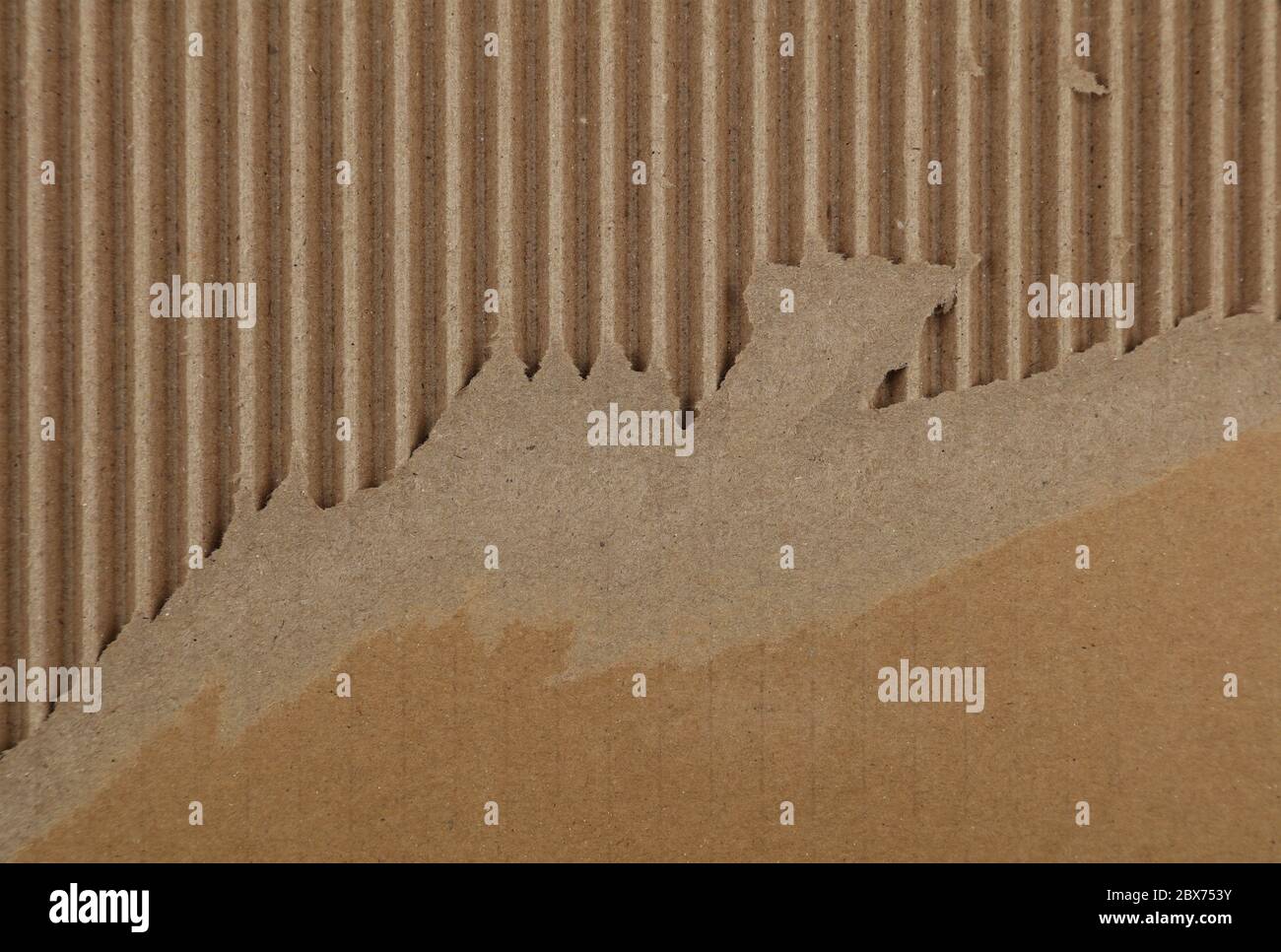 Cardboard teared board carton hi-res stock photography and images - Alamy