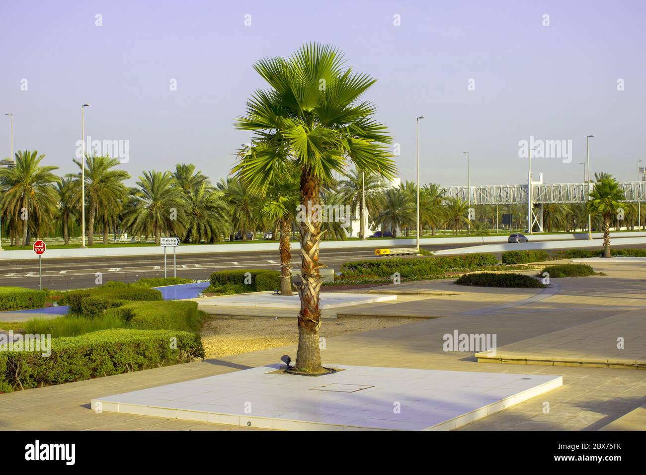 reductions in air pollution over middle east, air pollution levels ...