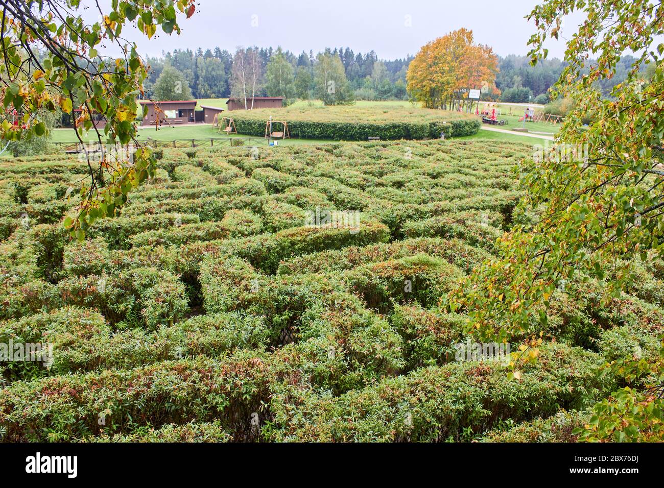 Labyrinth made out of bush in the garden Stock Photo - Alamy