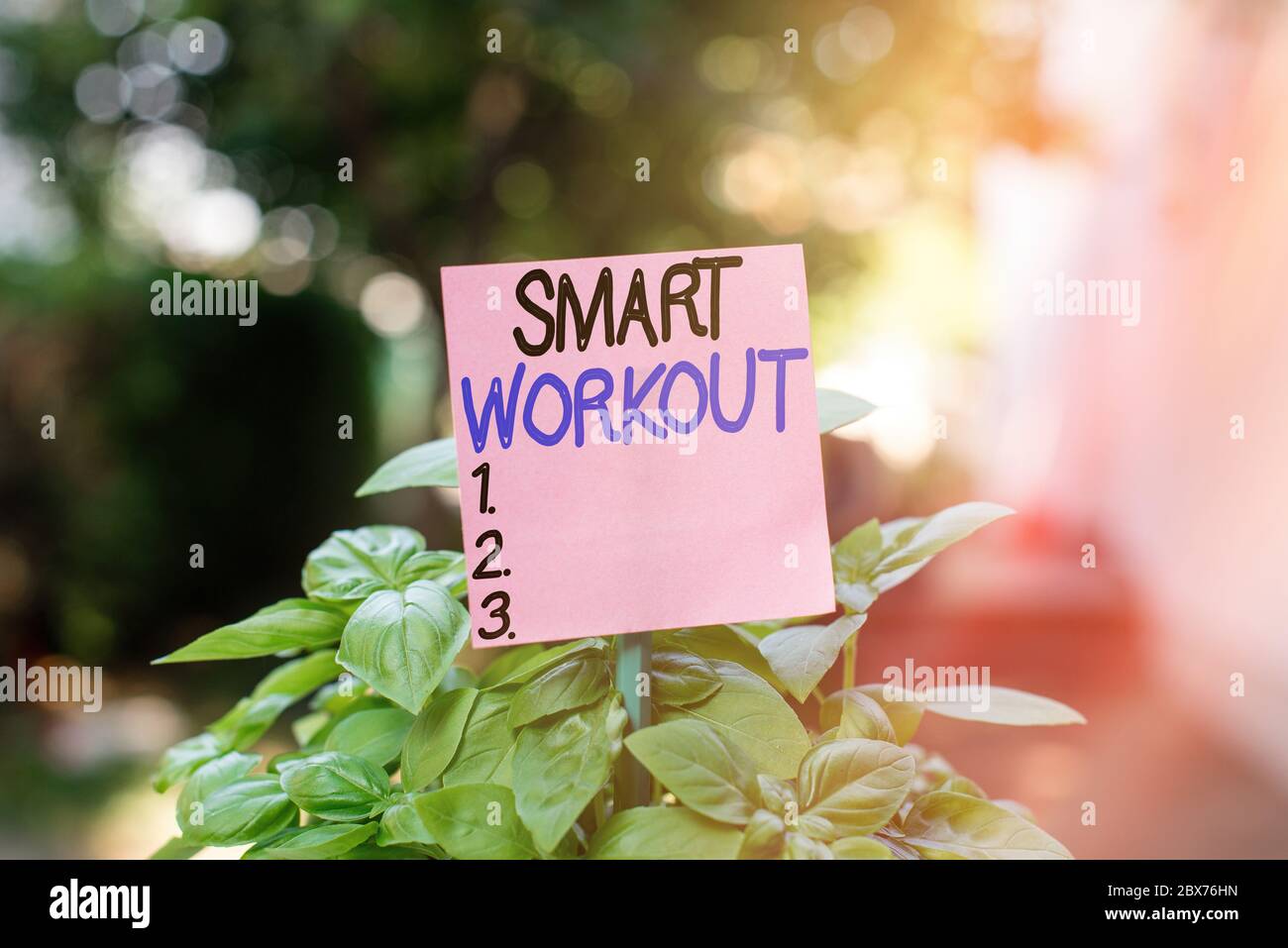 Text sign showing Smart Workout. Business photo showcasing ...