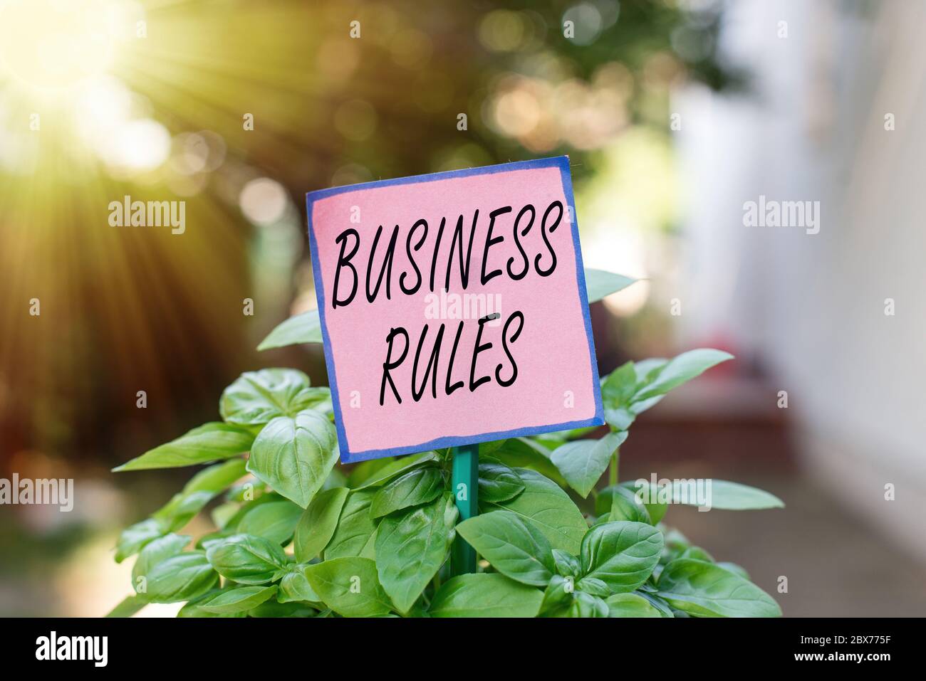 Writing note showing Business Rules. Business concept for the ...