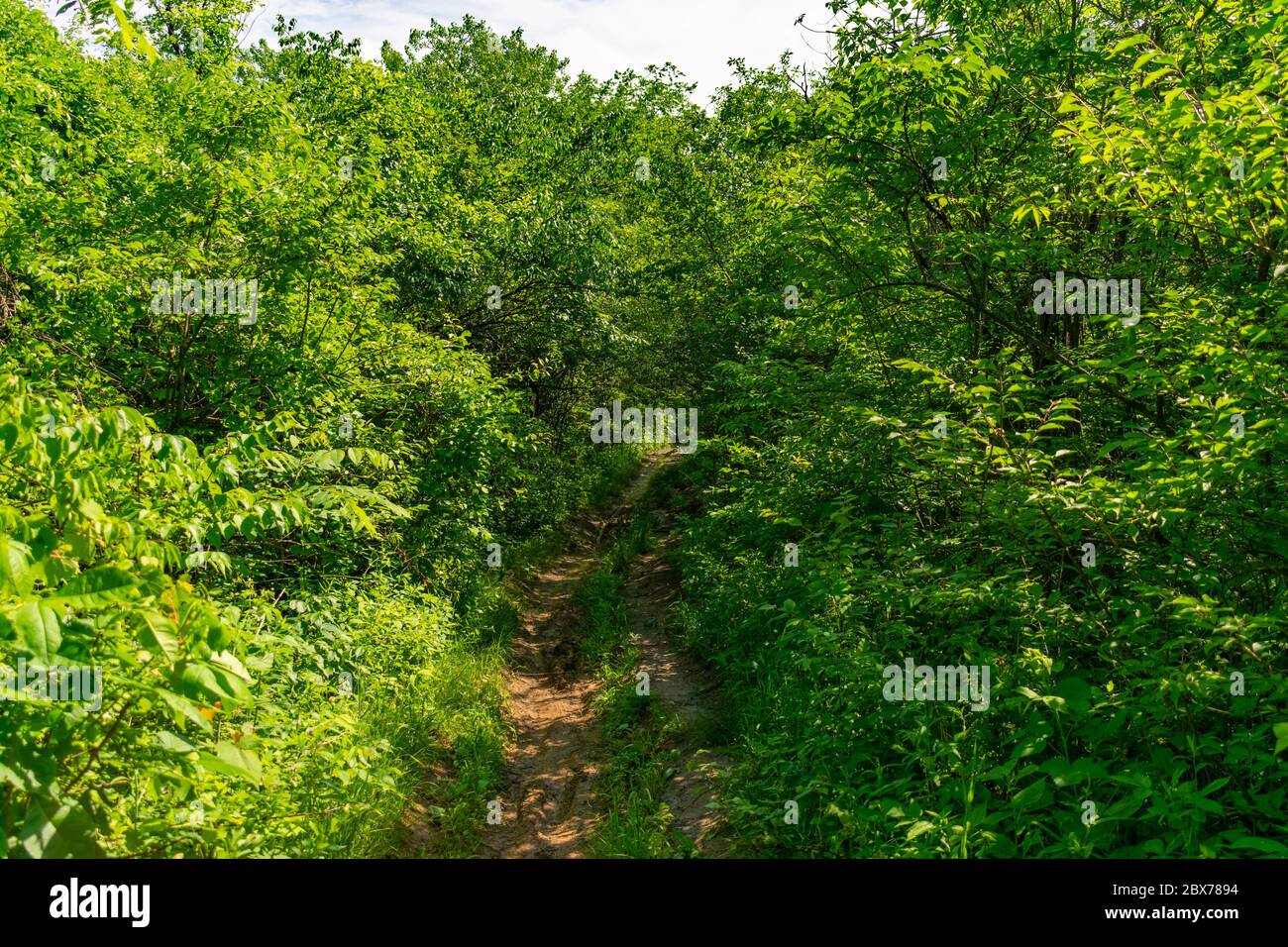 Dirt trail hi-res stock photography and images - Alamy