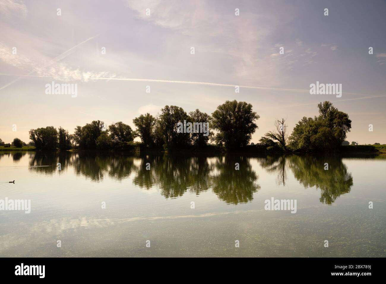 Floodplain river Waal Stock Photo - Alamy