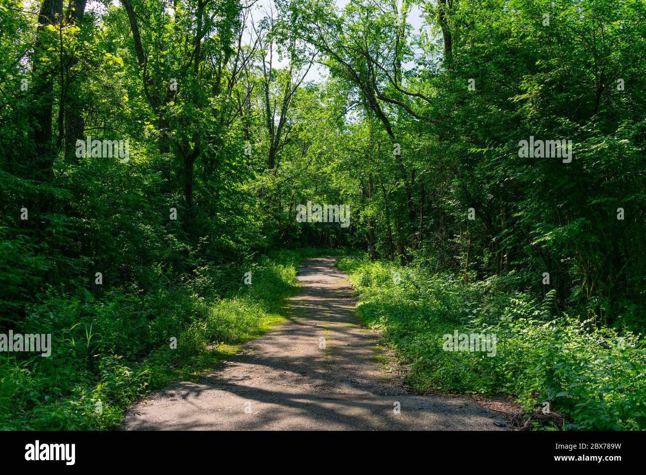 Chicago suburb suburban hi-res stock photography and images - Alamy