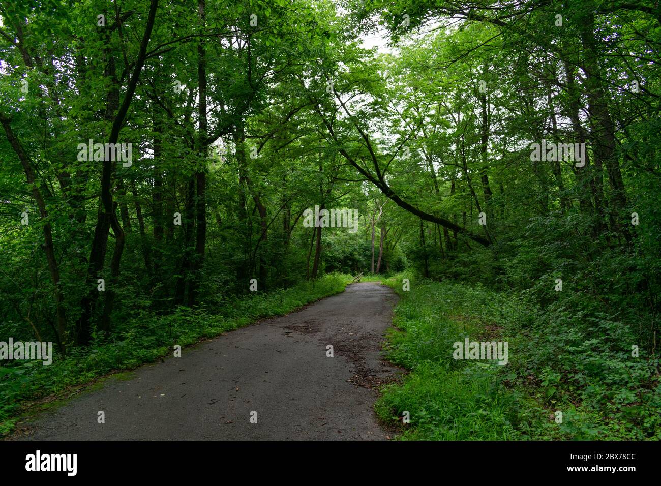 Chicago suburb suburban hi-res stock photography and images - Alamy