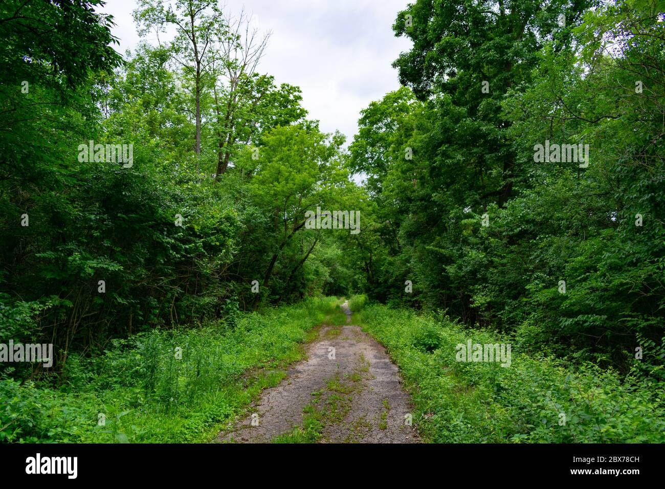 Path woods gate hi-res stock photography and images - Alamy