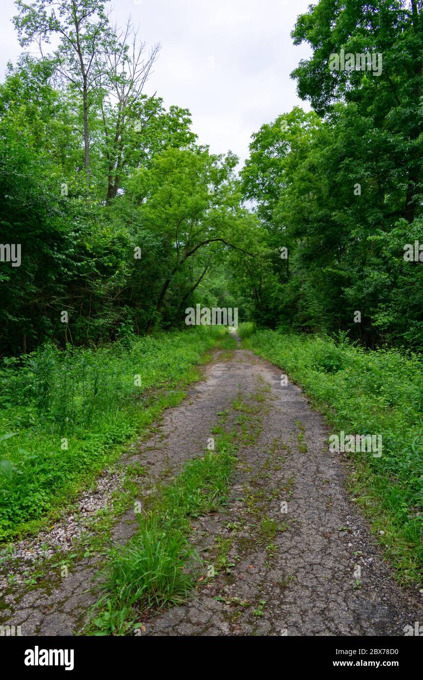 Red gate woods chicago hi-res stock photography and images - Alamy