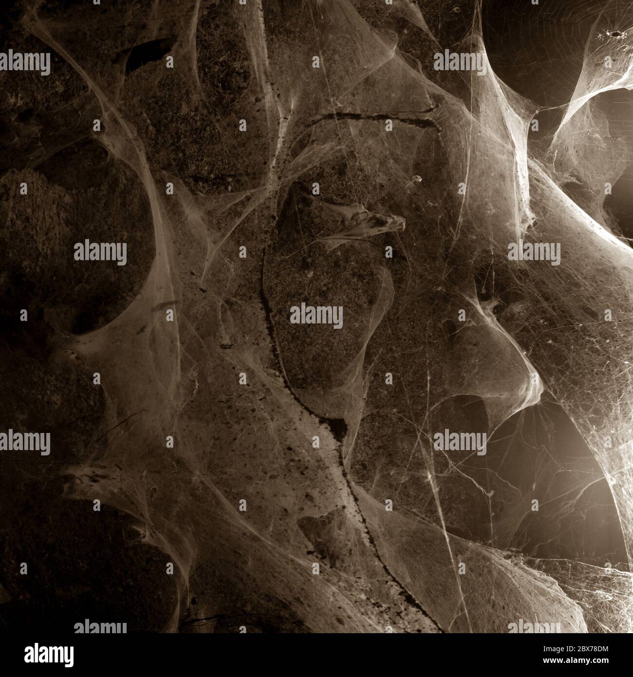 Abstract spiderweb background Stock Photo - Alamy