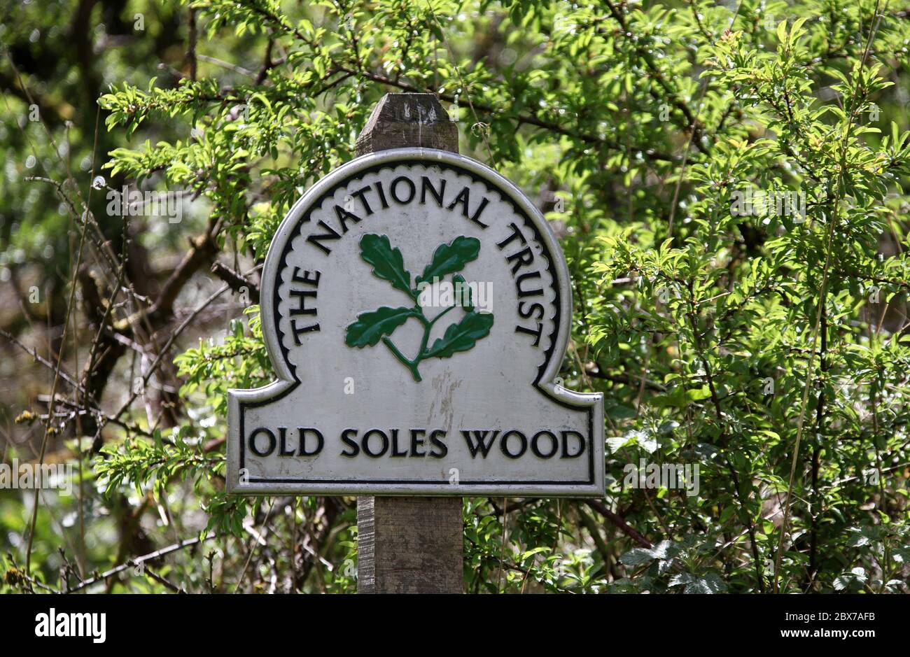 National Trust sign for Old Soles Wood Stock Photo - Alamy