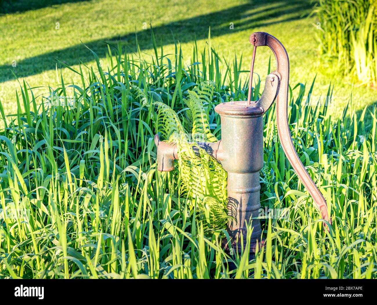 Old rusty water standpipe standing in in the high grass in the Swedish ...