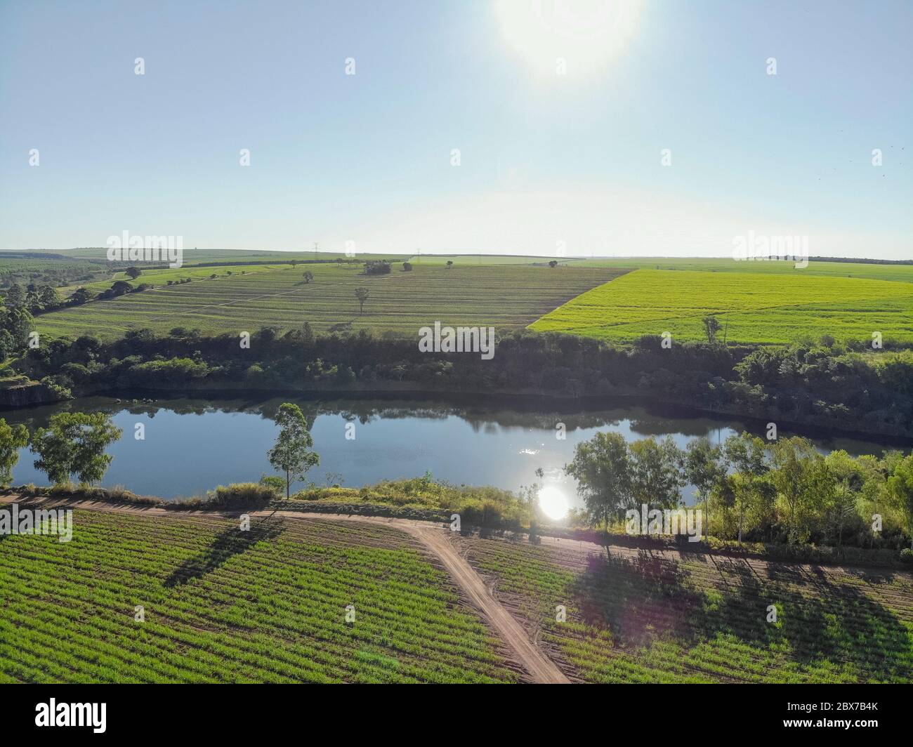 Aerial sugarcane field in Brazil and beautiful lake Stock Photo - Alamy