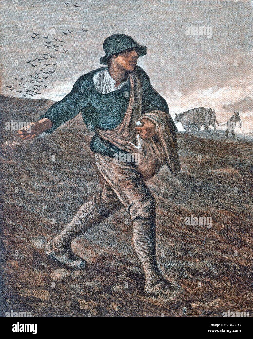 SEWING SEED BY HAND Stock Photo - Alamy