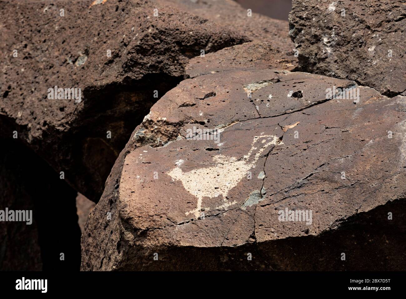 NM00523-00...NEW MEXICO - A bird pecked into the rock created by ...