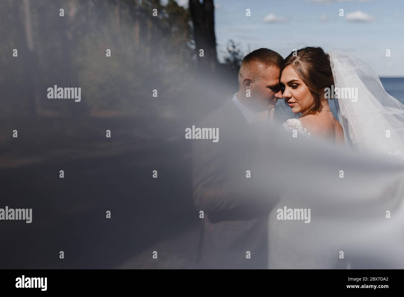 Bride and groom standing outside with the place for your text.Bride and ...