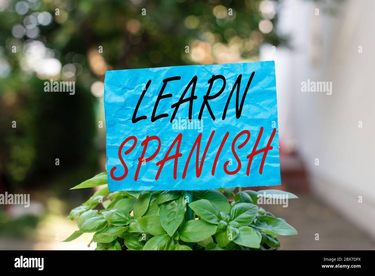 Conceptual hand writing showing Learn Spanish. Concept meaning to train ...