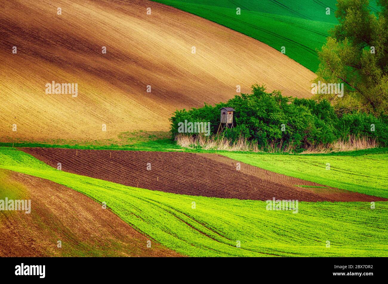 Rural landscape with green fields and trees, South Moravia, Czech ...