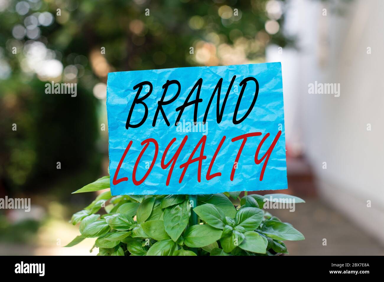 Conceptual hand writing showing Brand Loyalty. Concept meaning positive ... Conceptual hand writing showing Brand Loyalty. Concept meaning positive ...