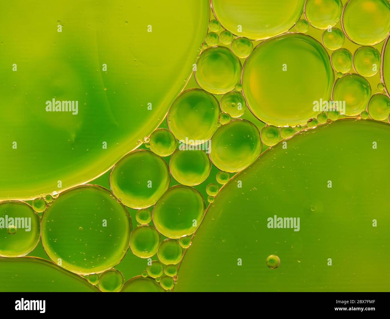 Chartreuse pattern hi-res stock photography and images - Alamy