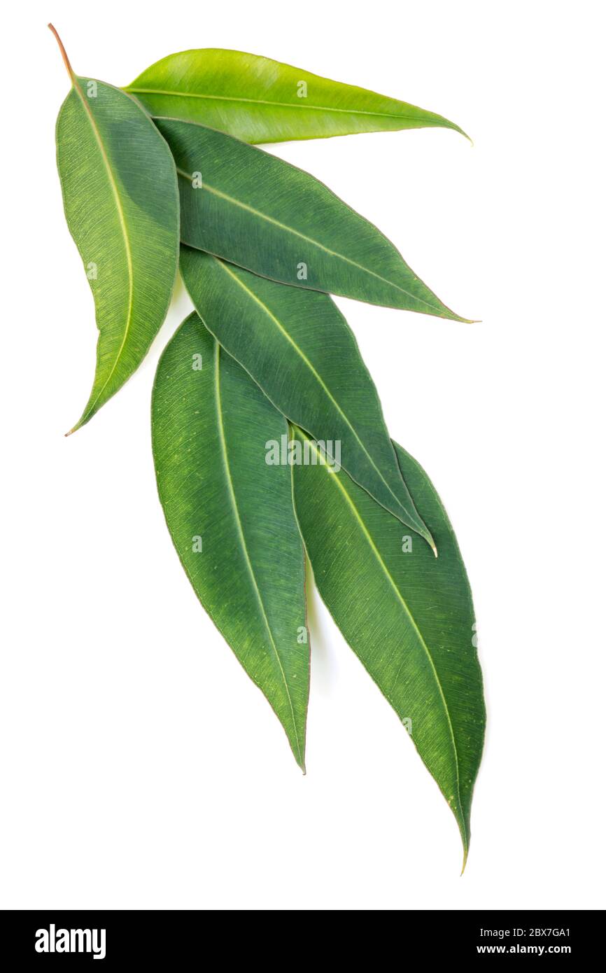 Very large file hi-res stock photography and images - Alamy