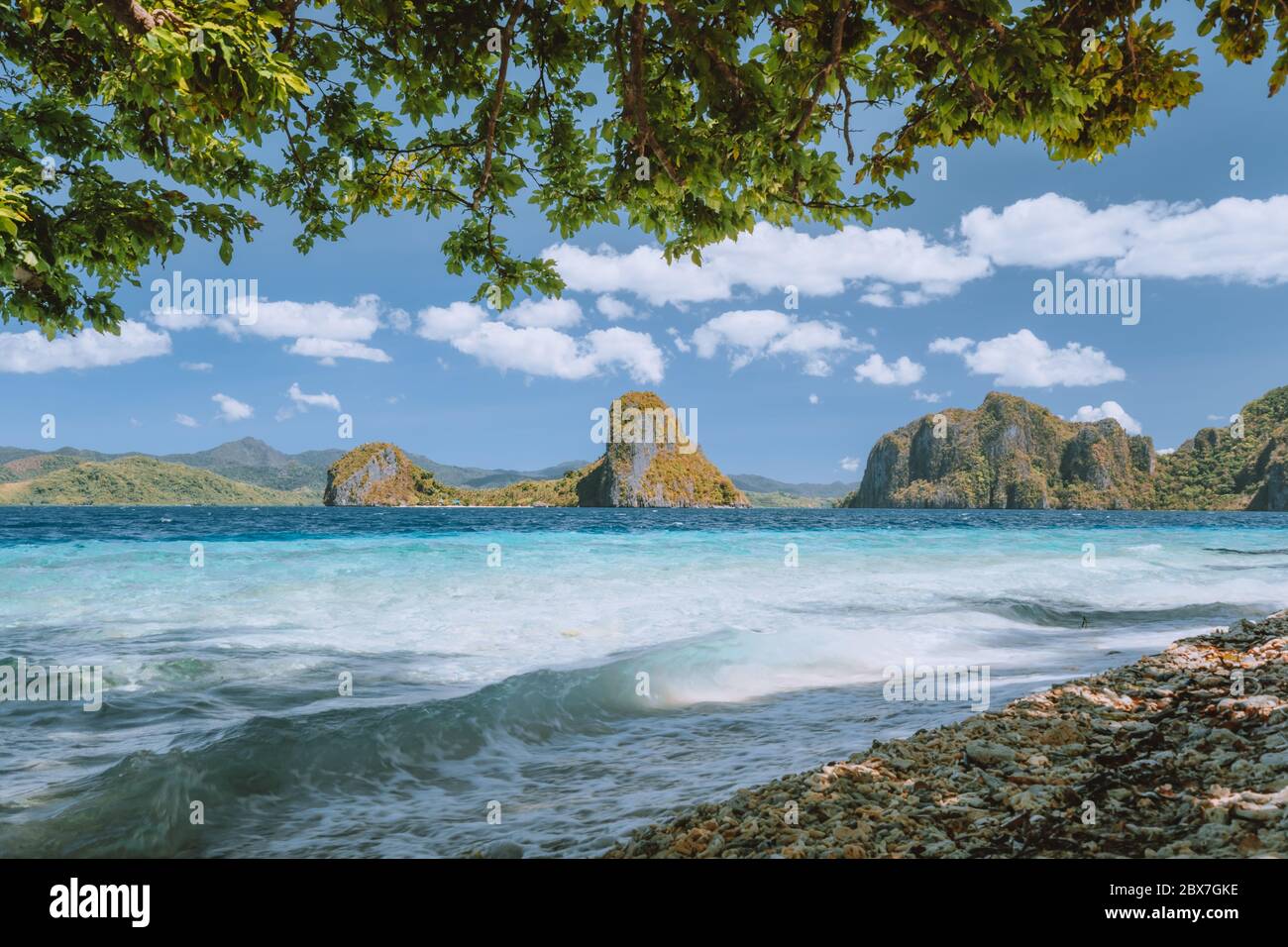 Ipil ipil hi-res stock photography and images - Alamy