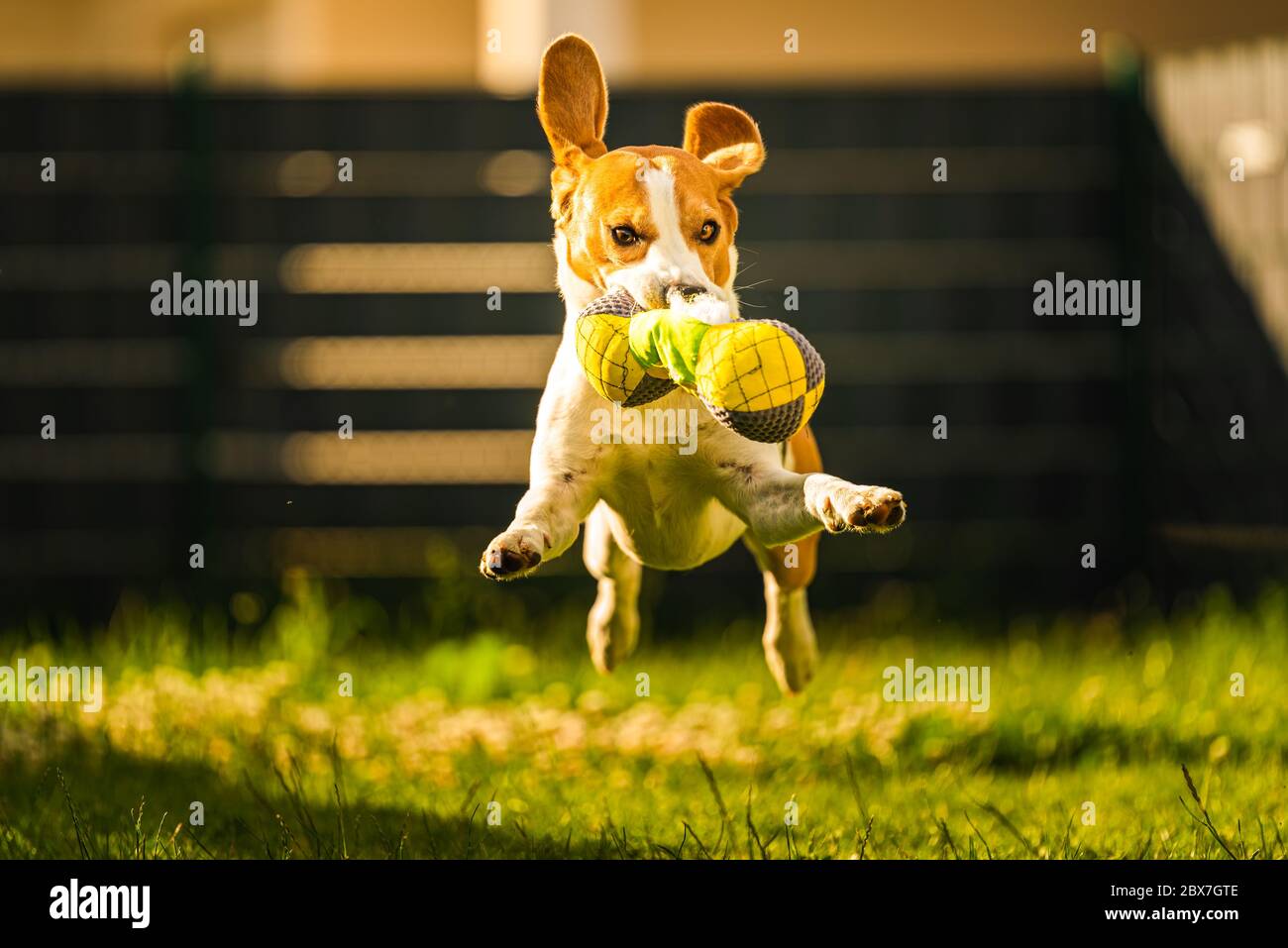 Sun riped hi-res stock photography and images - Alamy