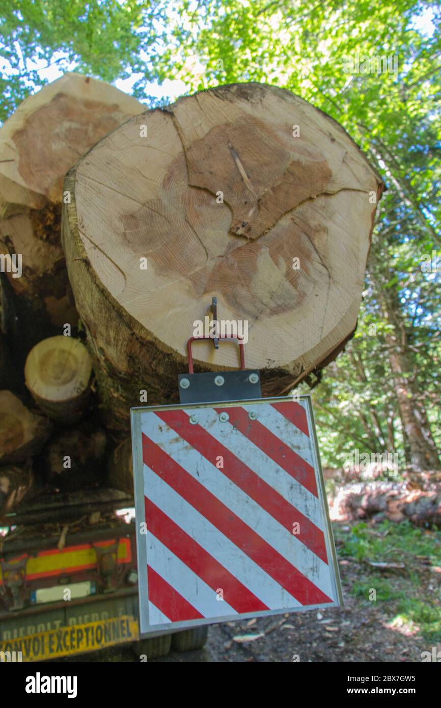 Forestry lorry loaded with tree trunks in Vercors, Drome France Stock ...