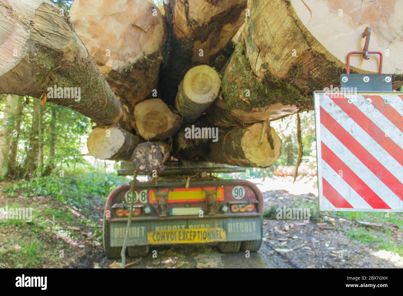 Forestry lorry loaded with tree trunks in Vercors, Drome France Stock ...