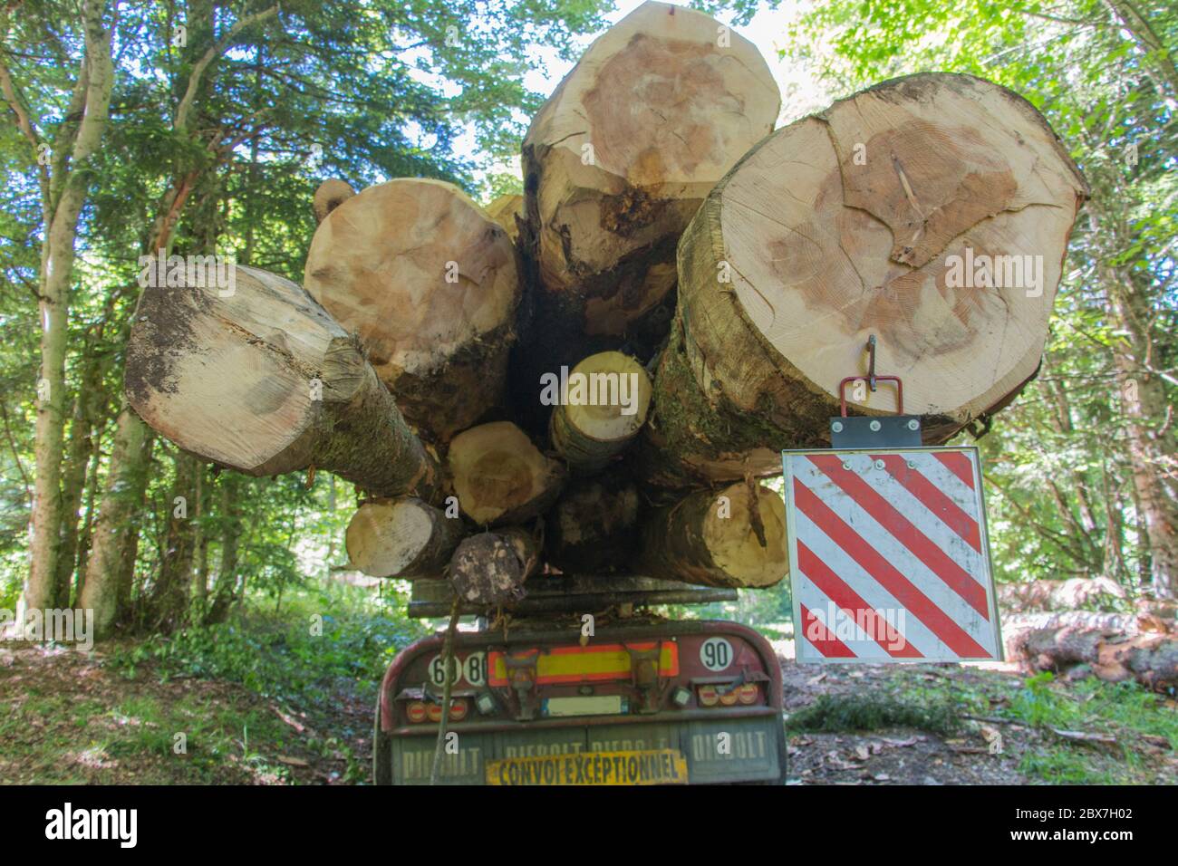 Forestry lorry loaded with tree trunks in Vercors, Drome France Stock ...