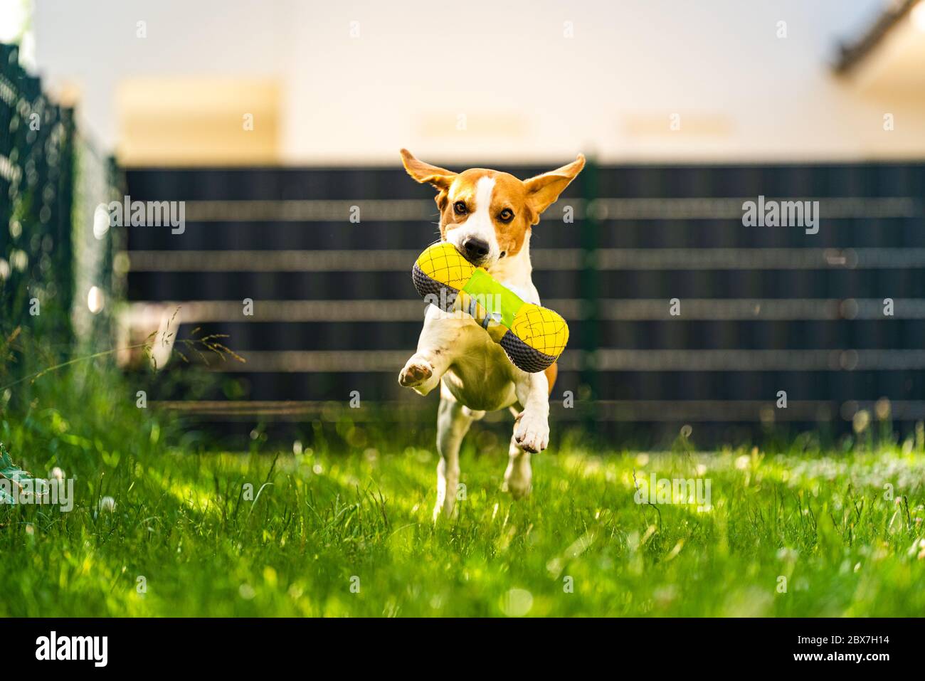 Sun riped hi-res stock photography and images - Alamy