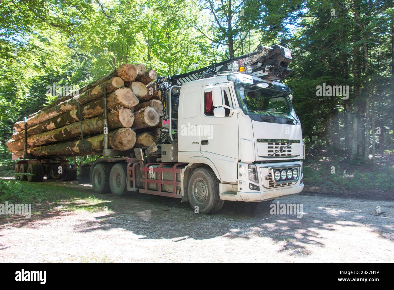 Forestry lorry loaded with tree trunks in Vercors, Drome France Stock ...