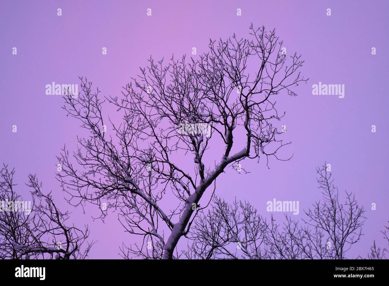 Amazing purple sunset High Resolution Stock Photography and Images - Alamy