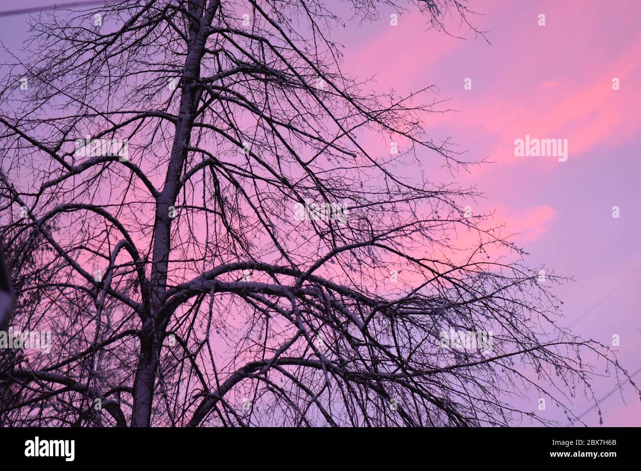 Amazing purple sunset hi-res stock photography and images - Alamy