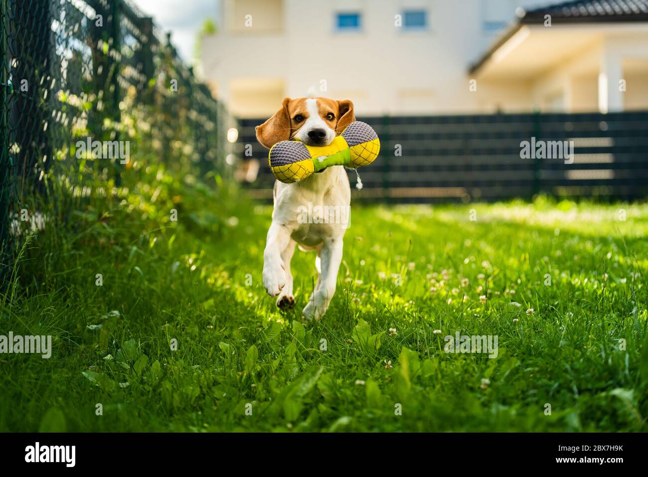 Sun riped hi-res stock photography and images - Alamy