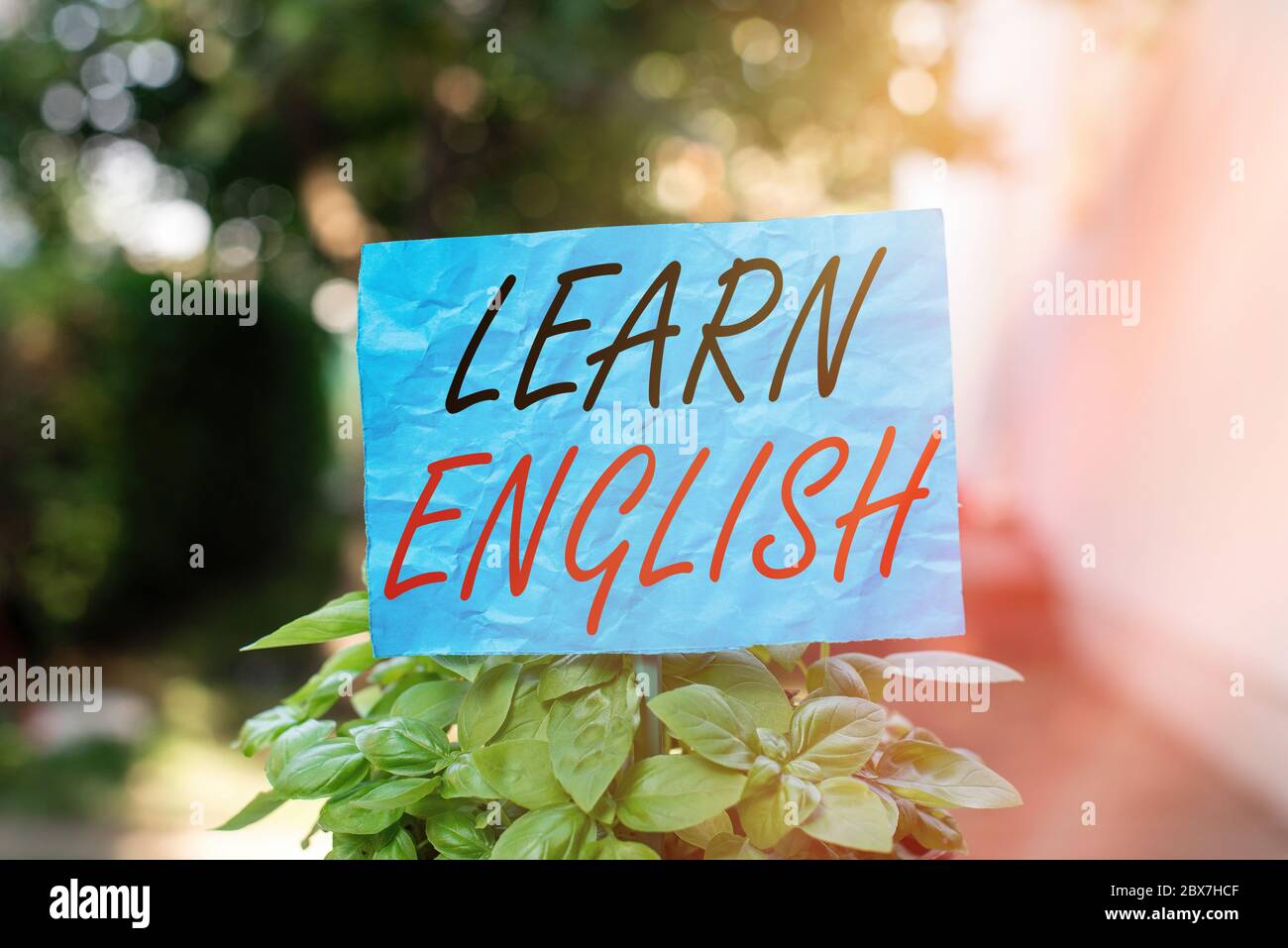 Understand basics hi-res stock photography and images - Alamy
