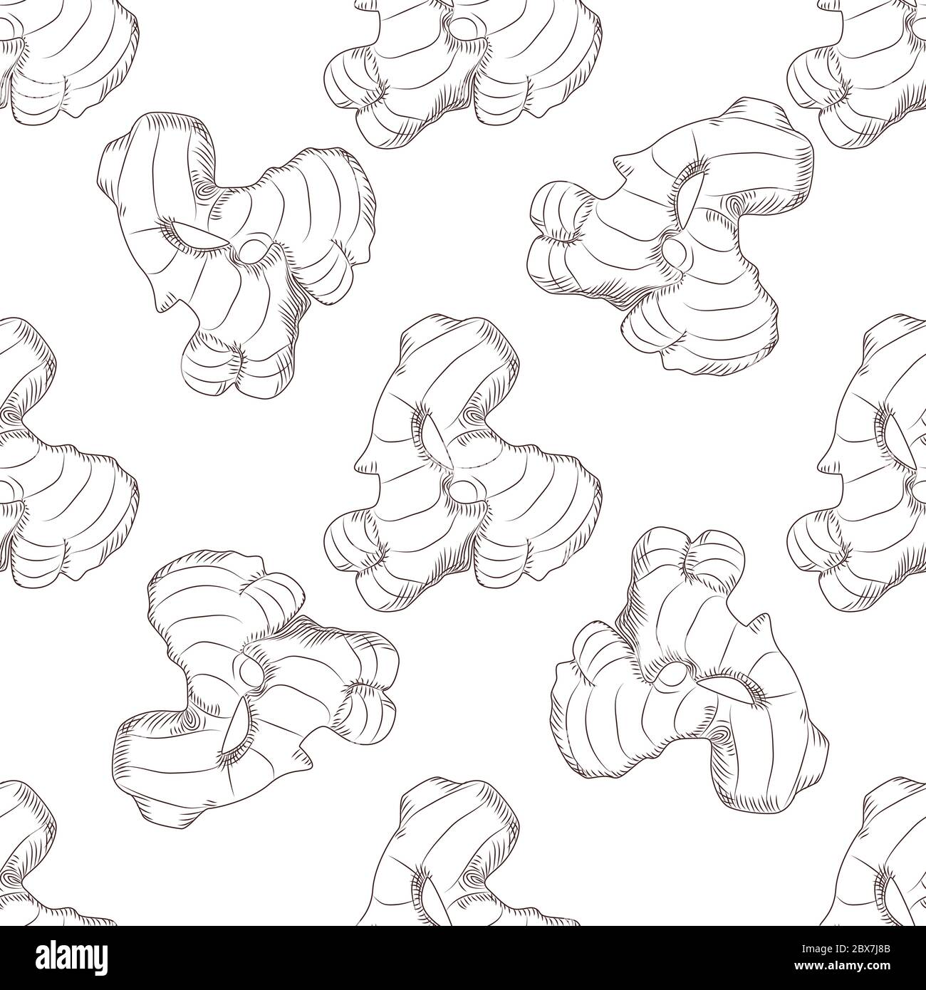 Fresh turmeric and root ginger Stock Vector Images - Alamy