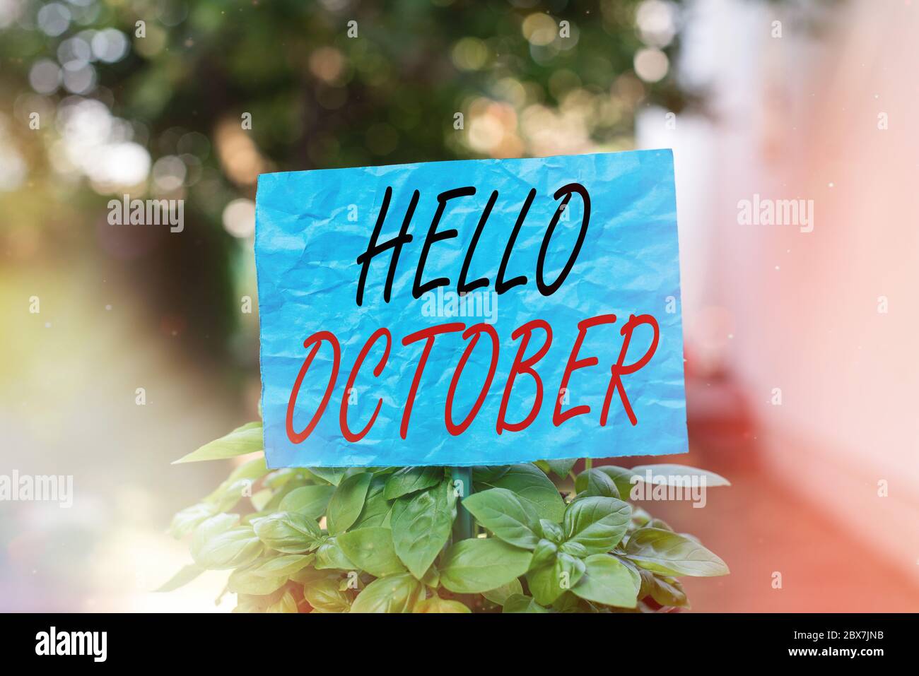 Conceptual hand writing showing Hello October. Concept meaning greeting ...