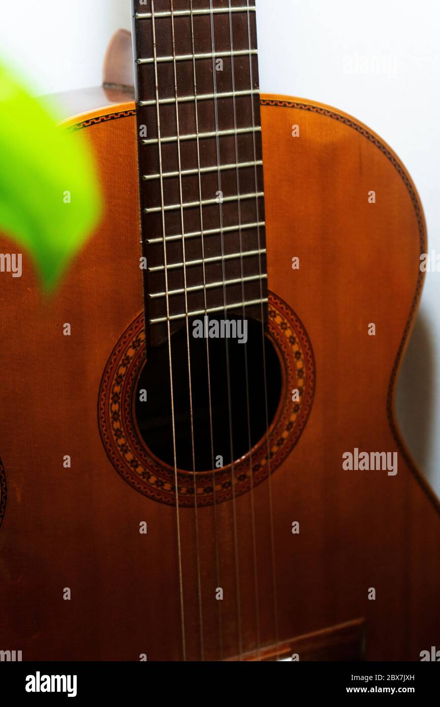 Creole musician hi-res stock photography and images - Alamy