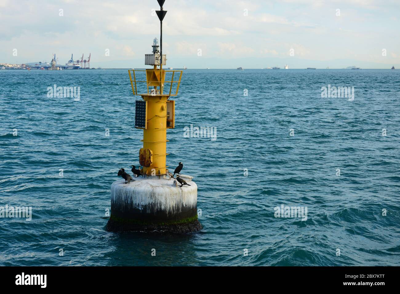Some sea birds standing on the buoy in the deep blue sea Stock Photo ...