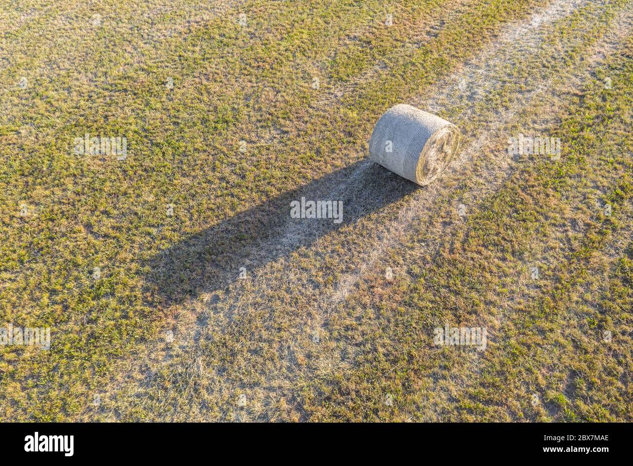 hay bale on a meadow from above Stock Photo - Alamy