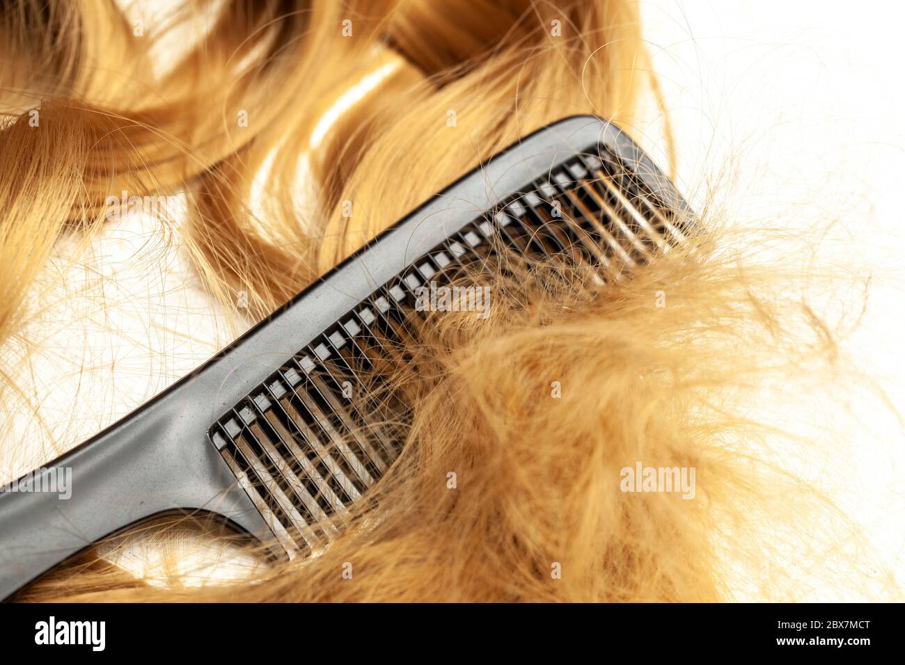 Tangled long hair and black comb. A knot on the curl Stock Photo - Alamy