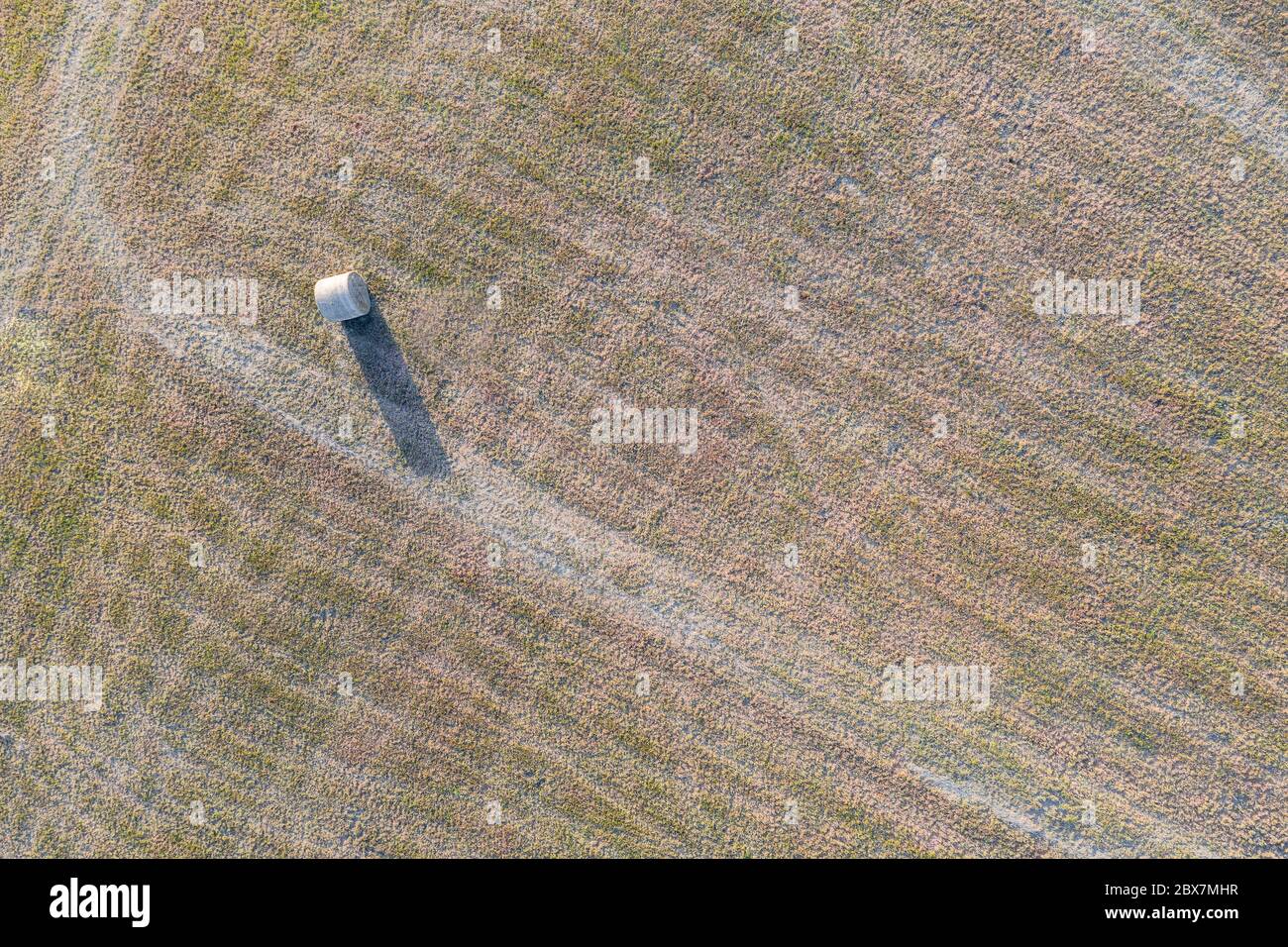 hay bale on a meadow from above Stock Photo - Alamy