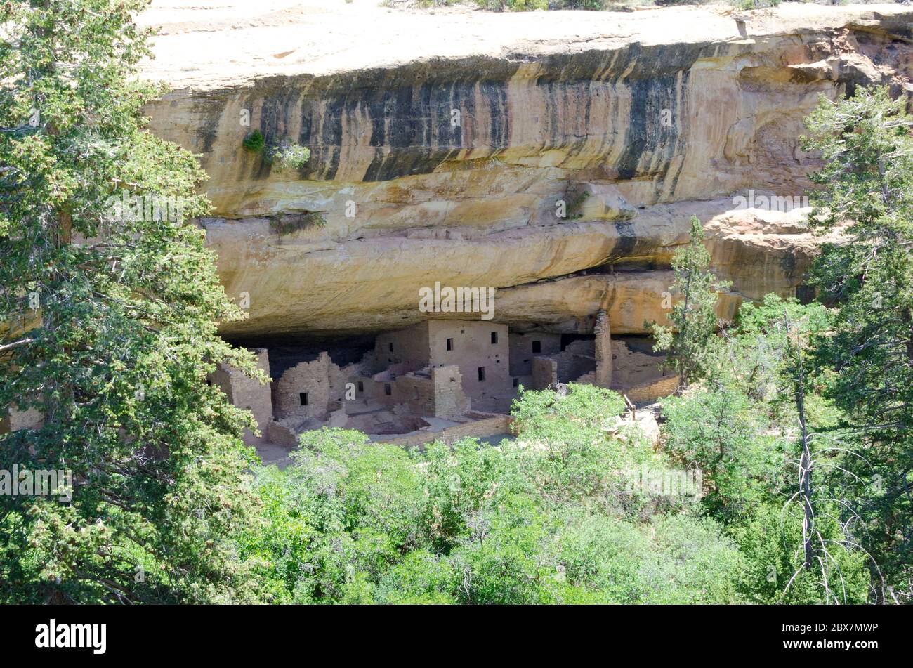 Pueblo cliff dwellings in Mesa Verde National Park, Colorado USA Stock ...