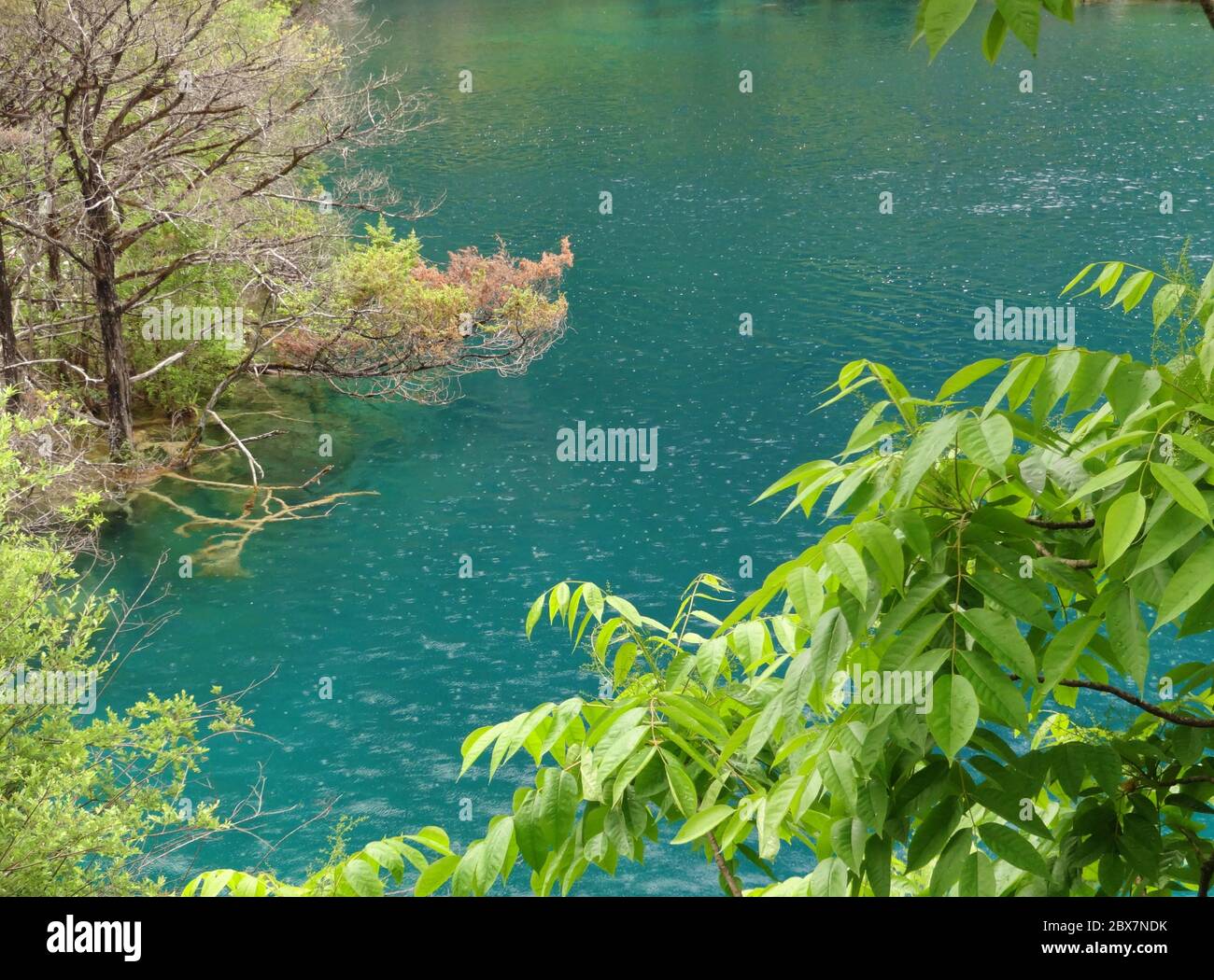 Blue green lake hi-res stock photography and images - Alamy