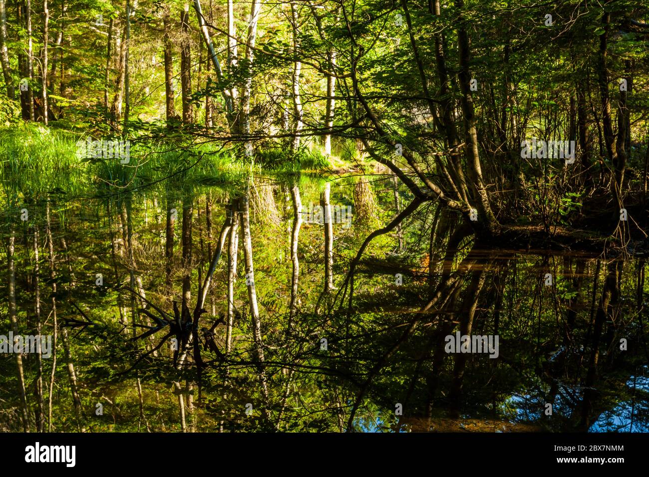 Reflections shorelines hi-res stock photography and images - Alamy