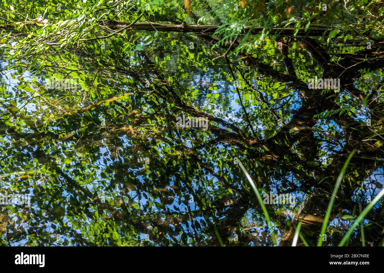 Water like glass hi-res stock photography and images - Alamy