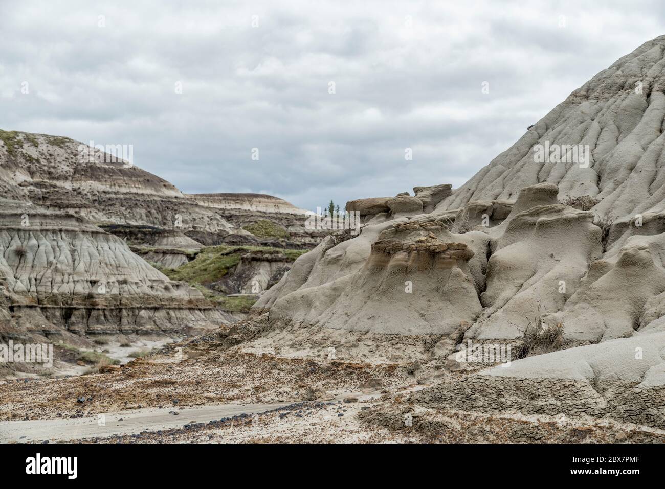 Landforms of the Badlands in Horseshoe Canyon, Alberta, Canada Stock ...