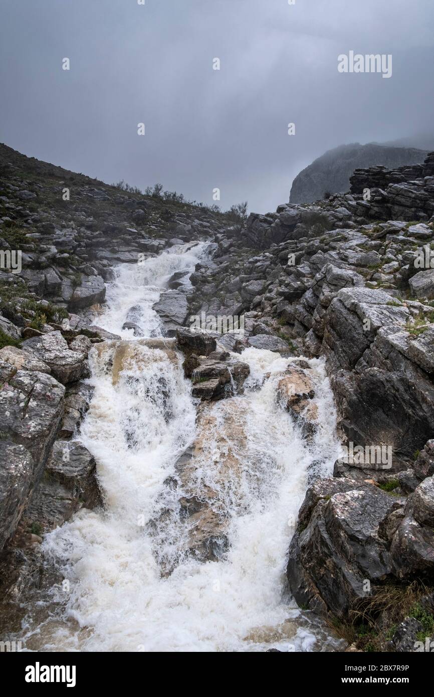 Rainforest temperature hi-res stock photography and images - Alamy