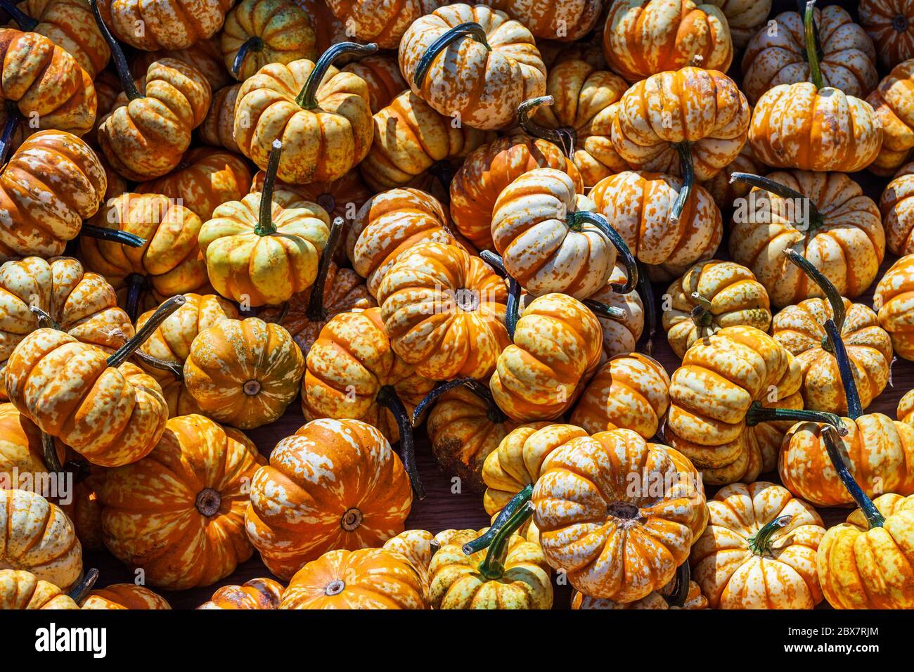 Food piles hi-res stock photography and images - Alamy