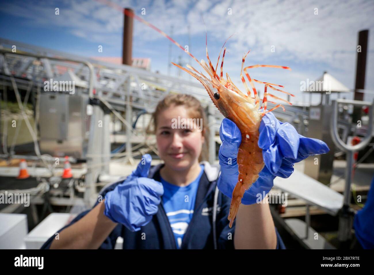 Prawn wharf hi-res stock photography and images - Alamy